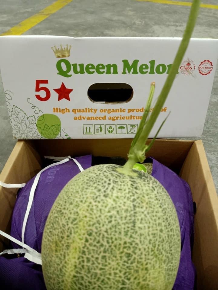 Dưa lưới Queen Melon và cách chọn dưa lưới ngon